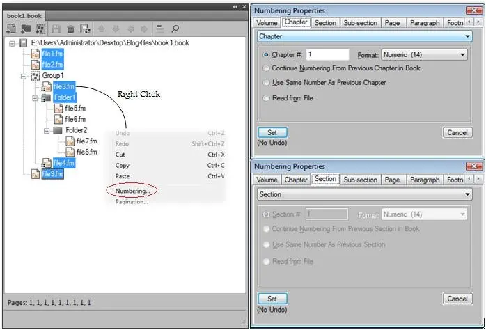 Numbering in Hierarchical Books