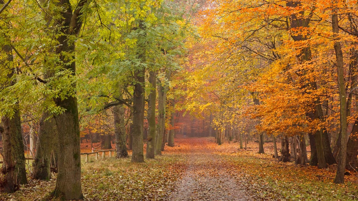 Neil Morgan on the Changing Nature of Marketing