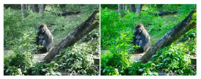 An Introduction To Graphical Effects in CSS