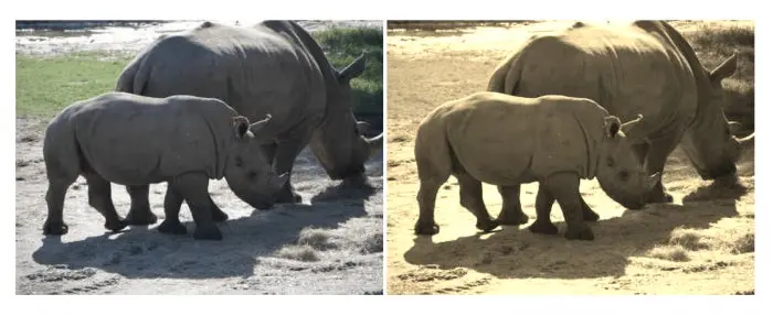 An Introduction To Graphical Effects in CSS