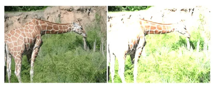 An Introduction To Graphical Effects in CSS