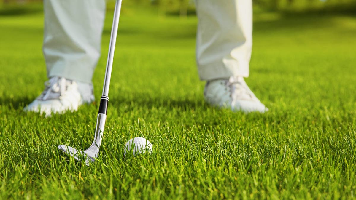 Find More of Your Best Customers with Look-Alike Modeling