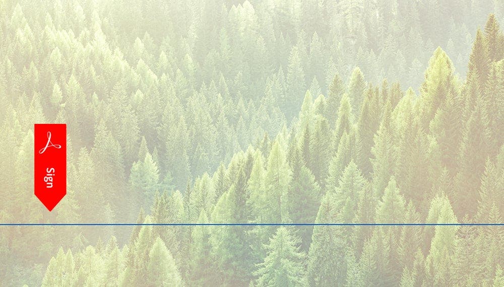 First with Cloud-Based Digital Signatures, Adobe Sign Moves ...