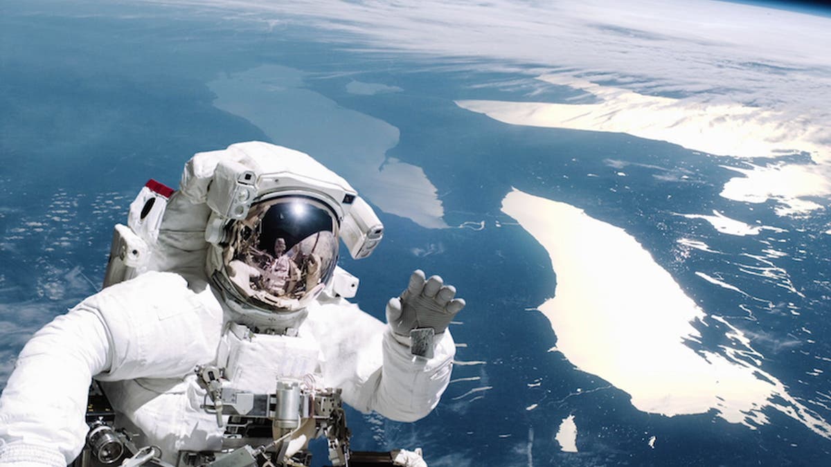 Introducing Pond5 For Adobe Stock