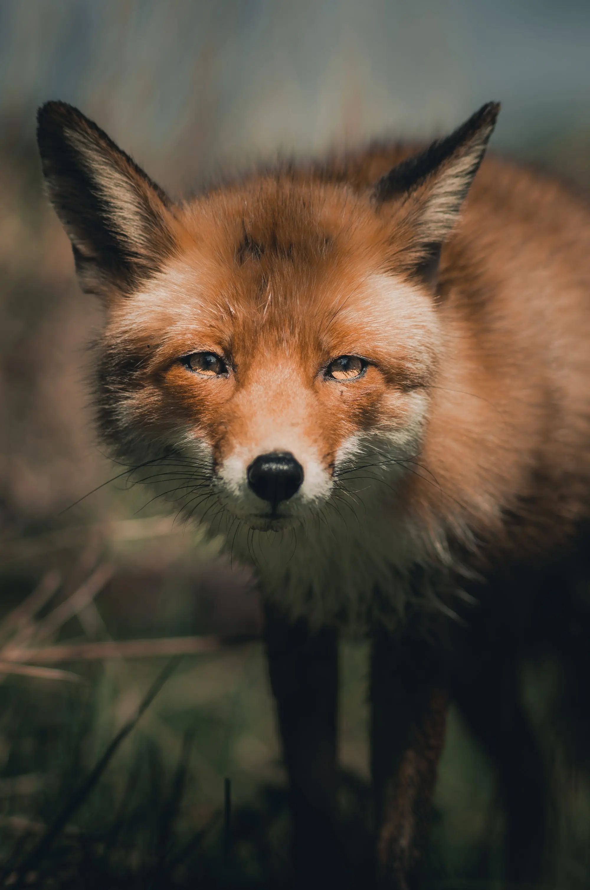 The Style Spotlight: Konsta Punkka