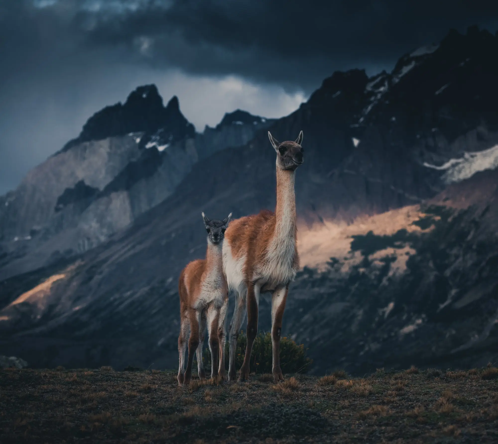 The Style Spotlight: Konsta Punkka