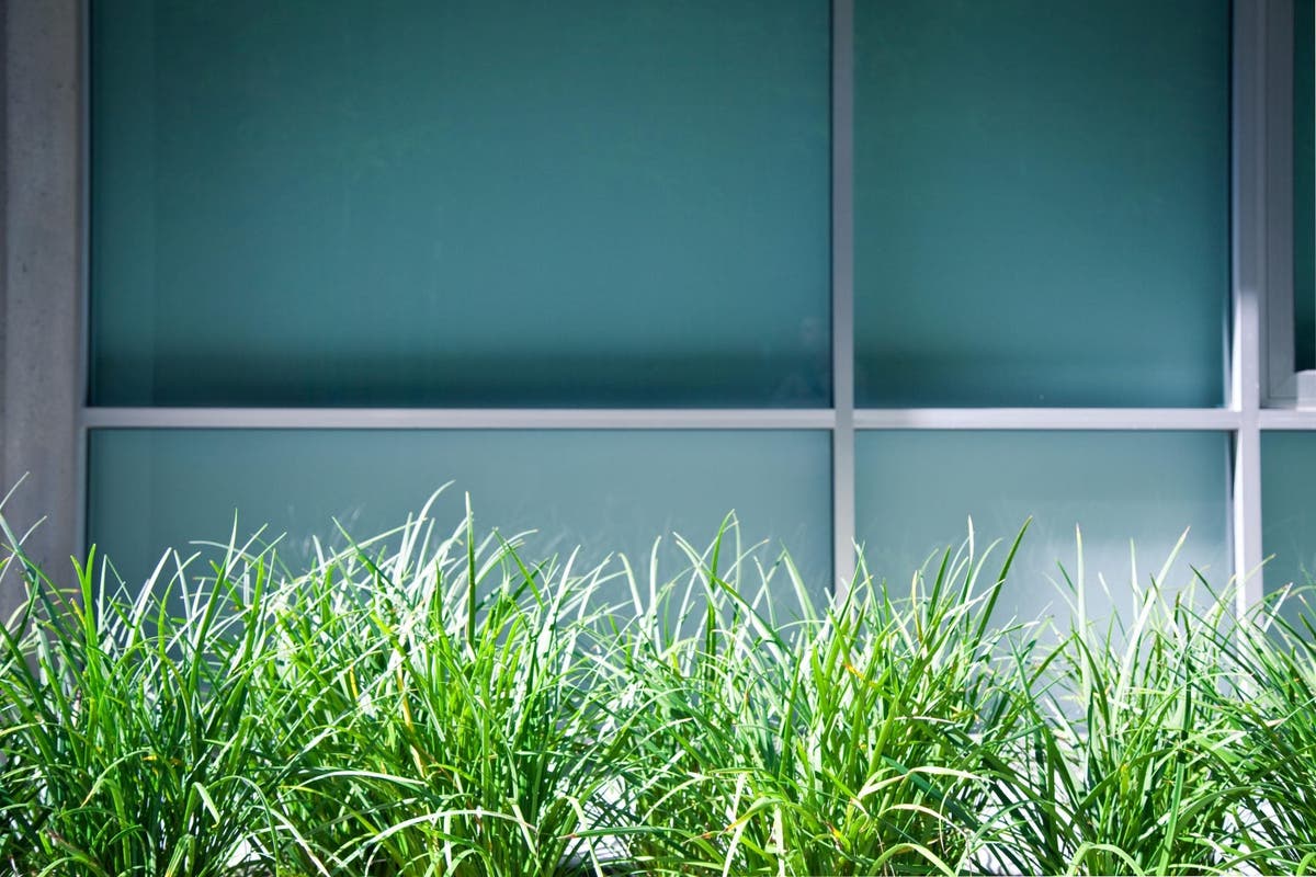 Adobe’s Bangalore Office Among First in India to be Powered 100% by ...