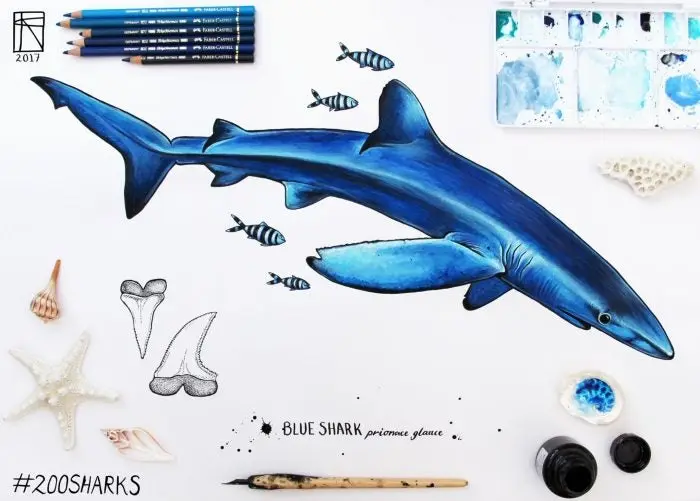 Meet the Illustrator Redefining What it Means to Create Passionately