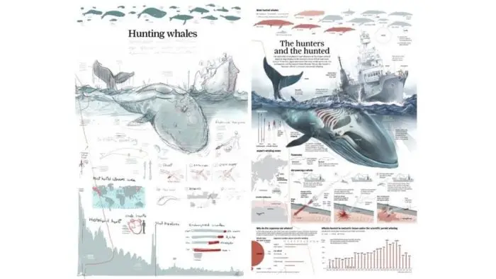 Build Expert Infographics for Your Next Presentation