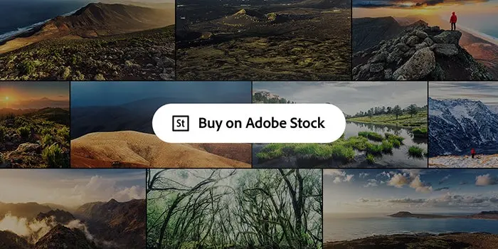 Introducing Our Five Newest Features on Adobe Portfolio