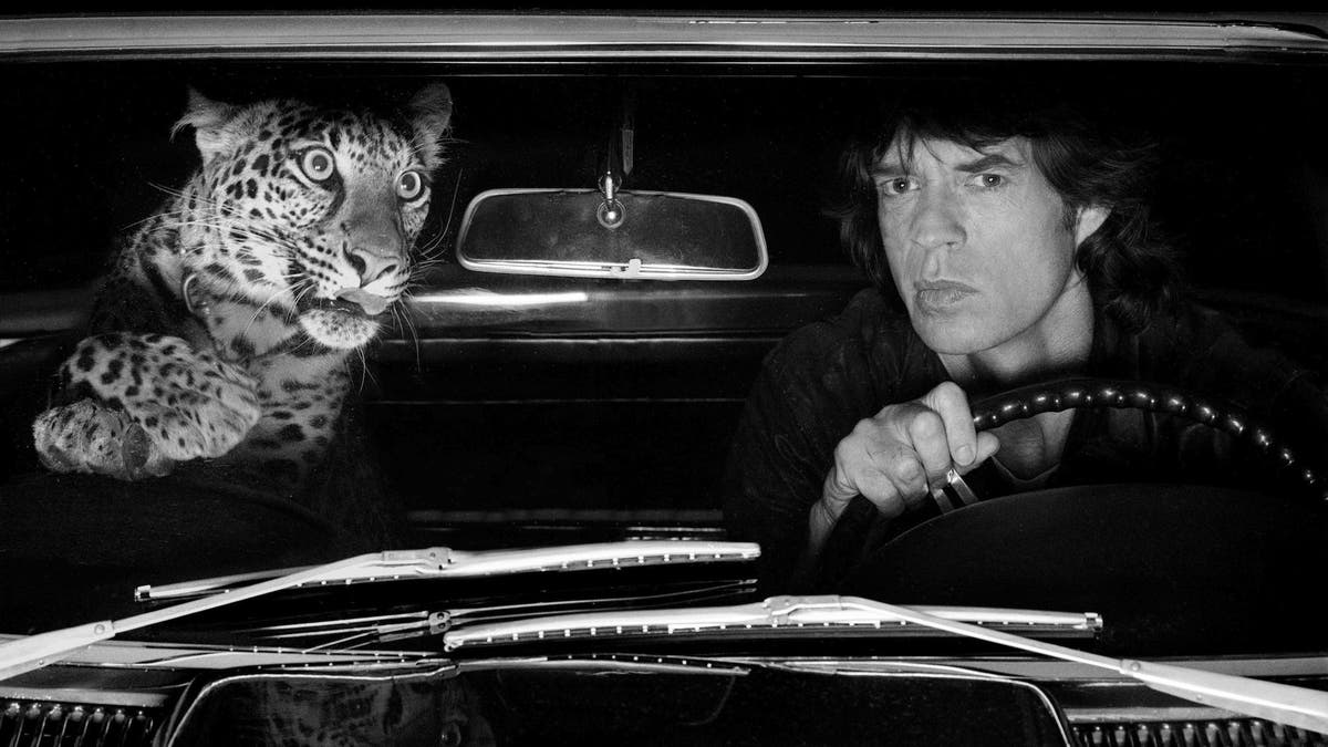 Breadth and Depth – The Photography of Albert Watson