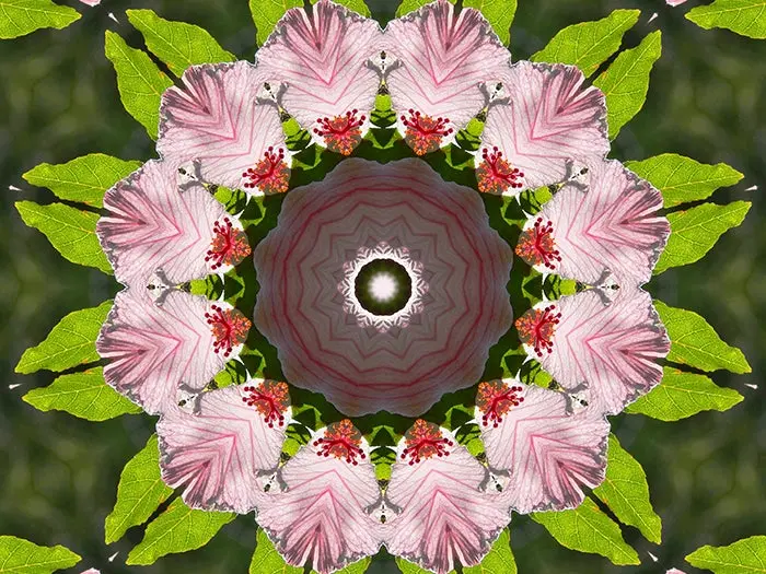 What is Radial Balance