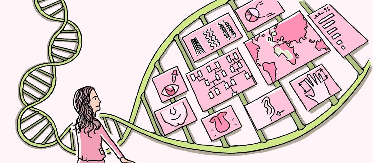 Treating Users Like Family: How Ancestry Optimized the UX for Its New ...