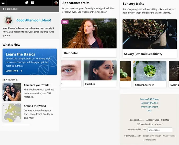 Treating Users Like Family: How Ancestry Optimized the UX for Its New ...
