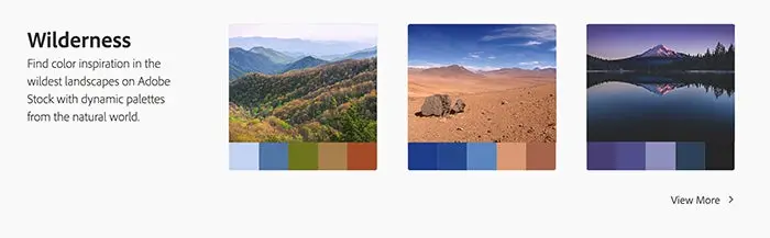 Perfect Your Palette With the New Adobe Color
