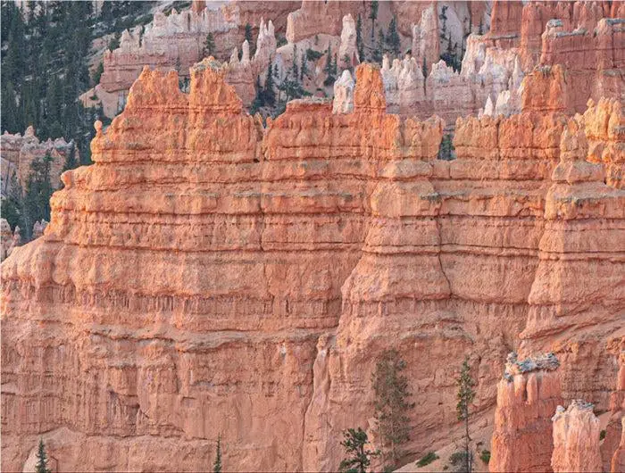 From the ACR Team: Introducing the Texture Control