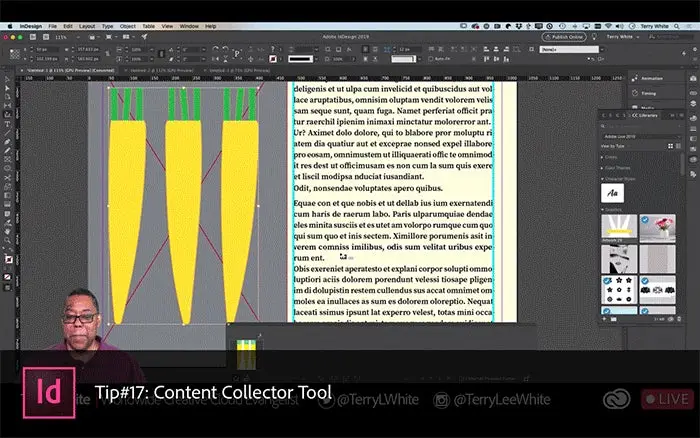 20 Years of InDesign: The Top 20 Tips & Tricks from Worldwide ...