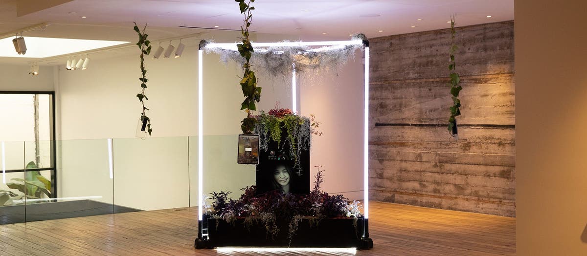 Bringing Immersive Art Installations to Life at Festival of the Impossible