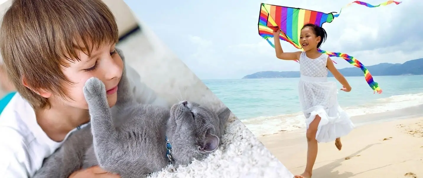 Introducing Adobe Photoshop Elements 2020 & Premiere Elements 2020