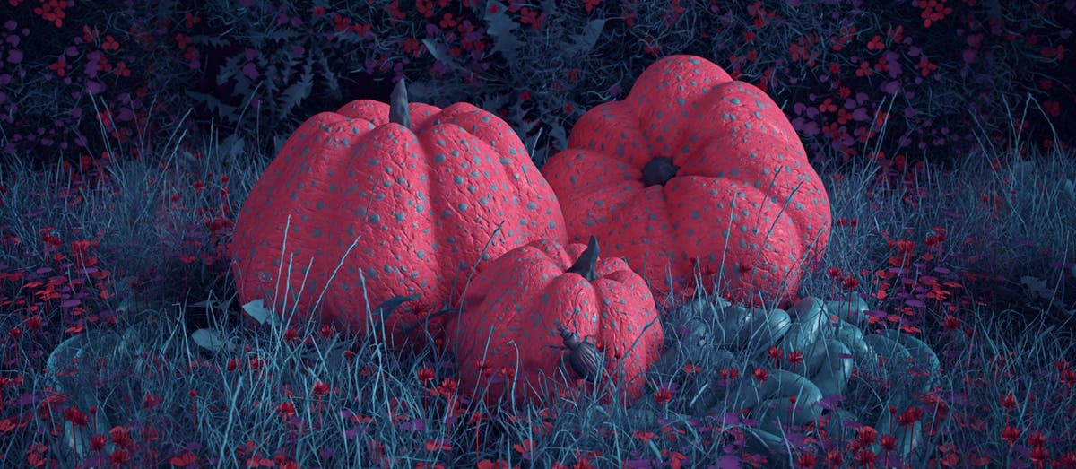 Becoming an Unstoppable Creative Force by Harnessing Your “Weirdness ...