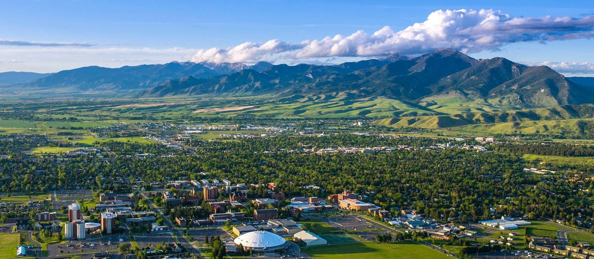Montana State University Invests in Student Success as an Adobe ...
