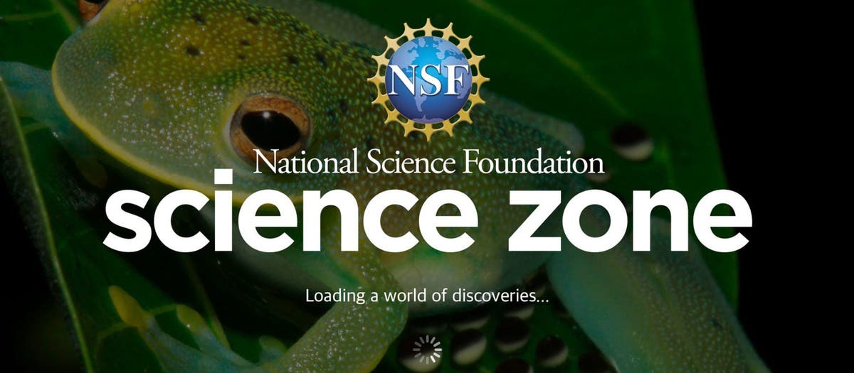 How the Focus on UX Helped the NSF Double Its Science App Installs