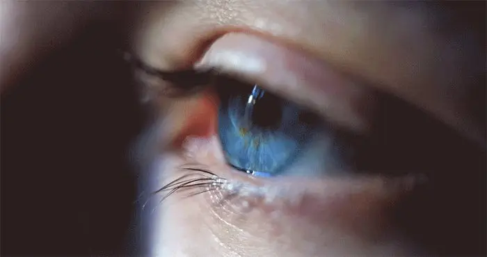 Opening the Window with Movement Response