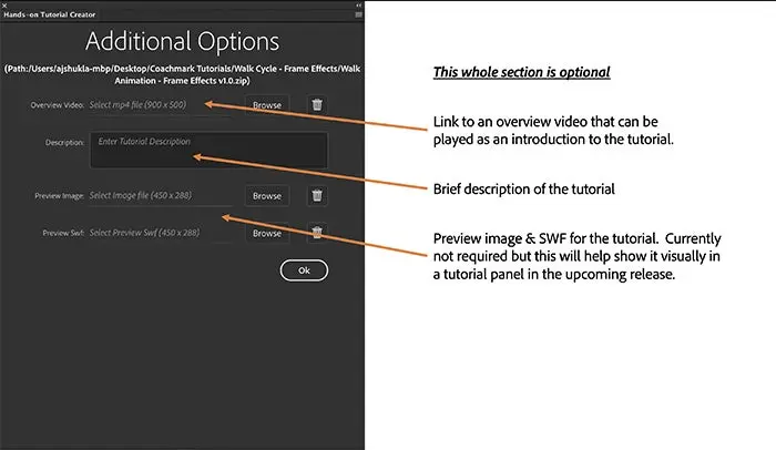 Hands-on Tutorial Creation Tool for Adobe Animate