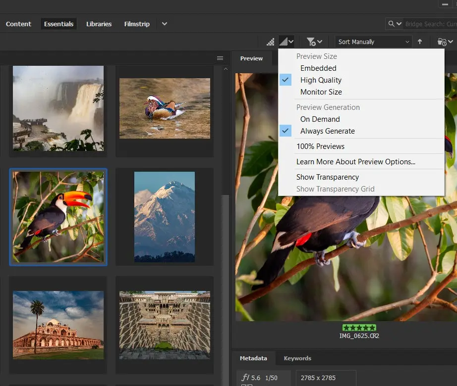 Adobe Bridge levels up workflows with Premiere Pro integration and new ...