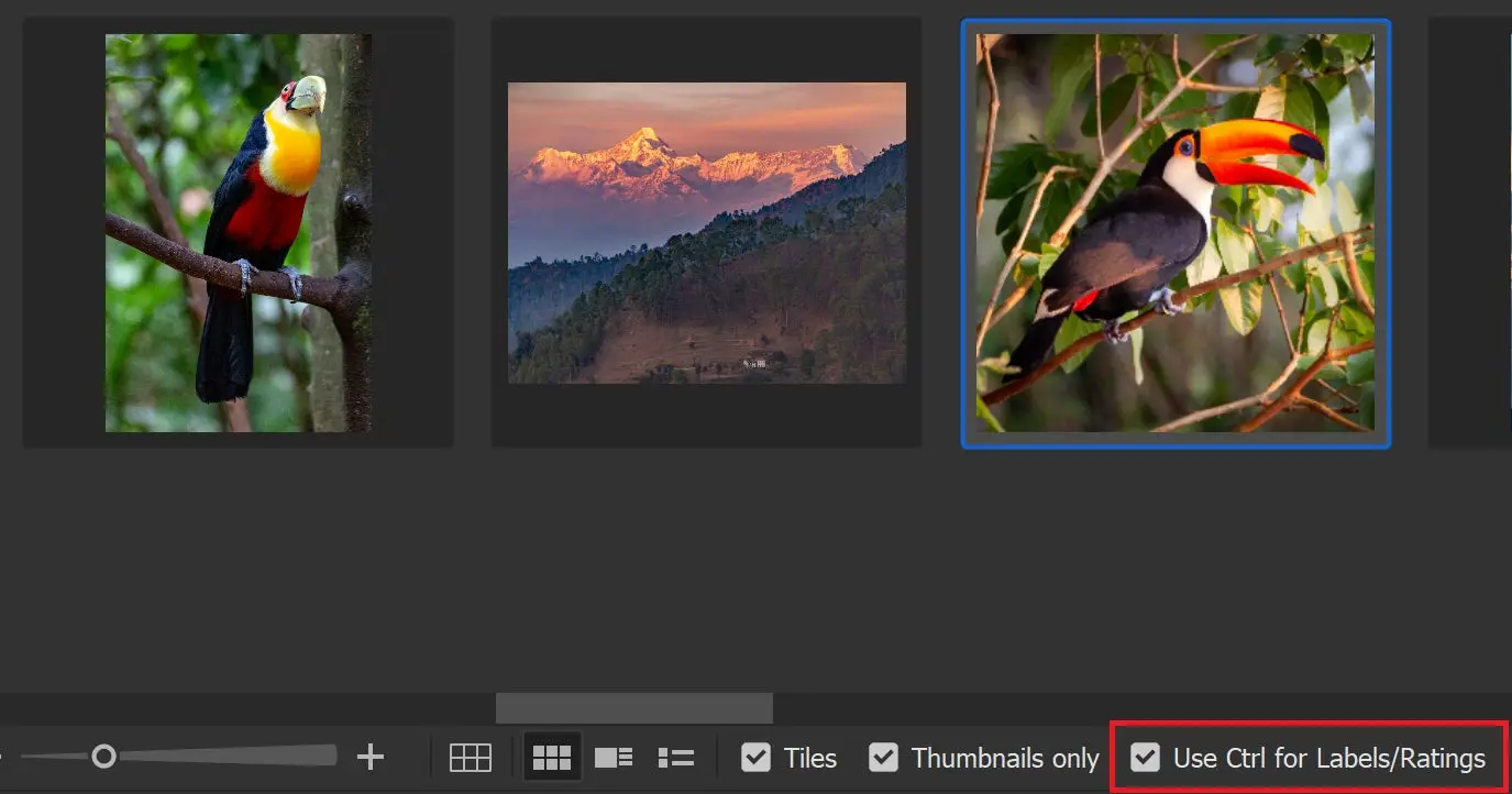Adobe Bridge levels up workflows with Premiere Pro integration and new ...