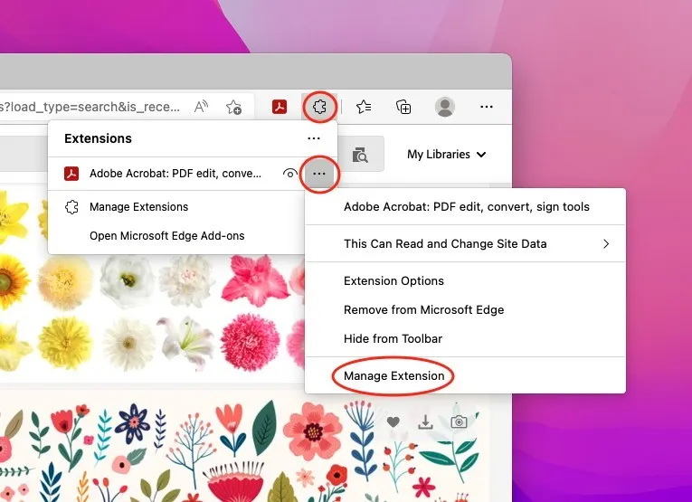 Open any PDF in your web browser with this Acrobat extension update ...