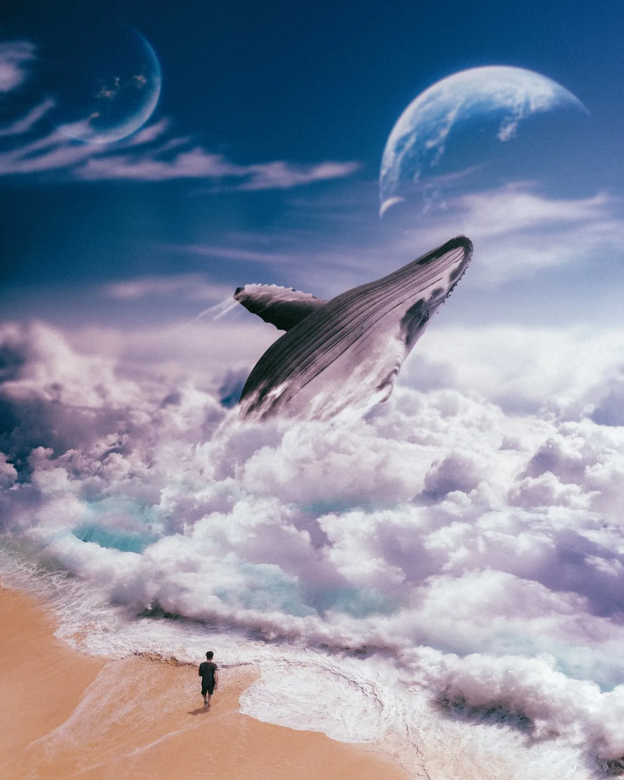 Creating Waves with Creativity for Ocean Conservation | Adobe Blog