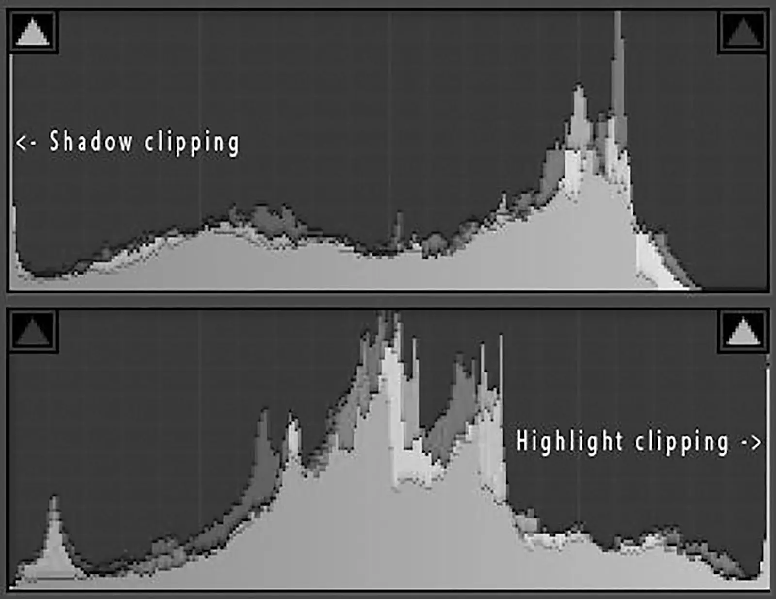 The Exposure Triangle - 3 Settings for Perfect Captures | Adobe Blog