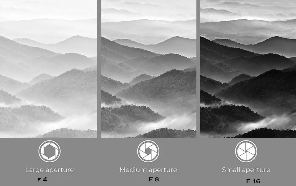 The Exposure Triangle - 3 Settings for Perfect Captures | Adobe Blog
