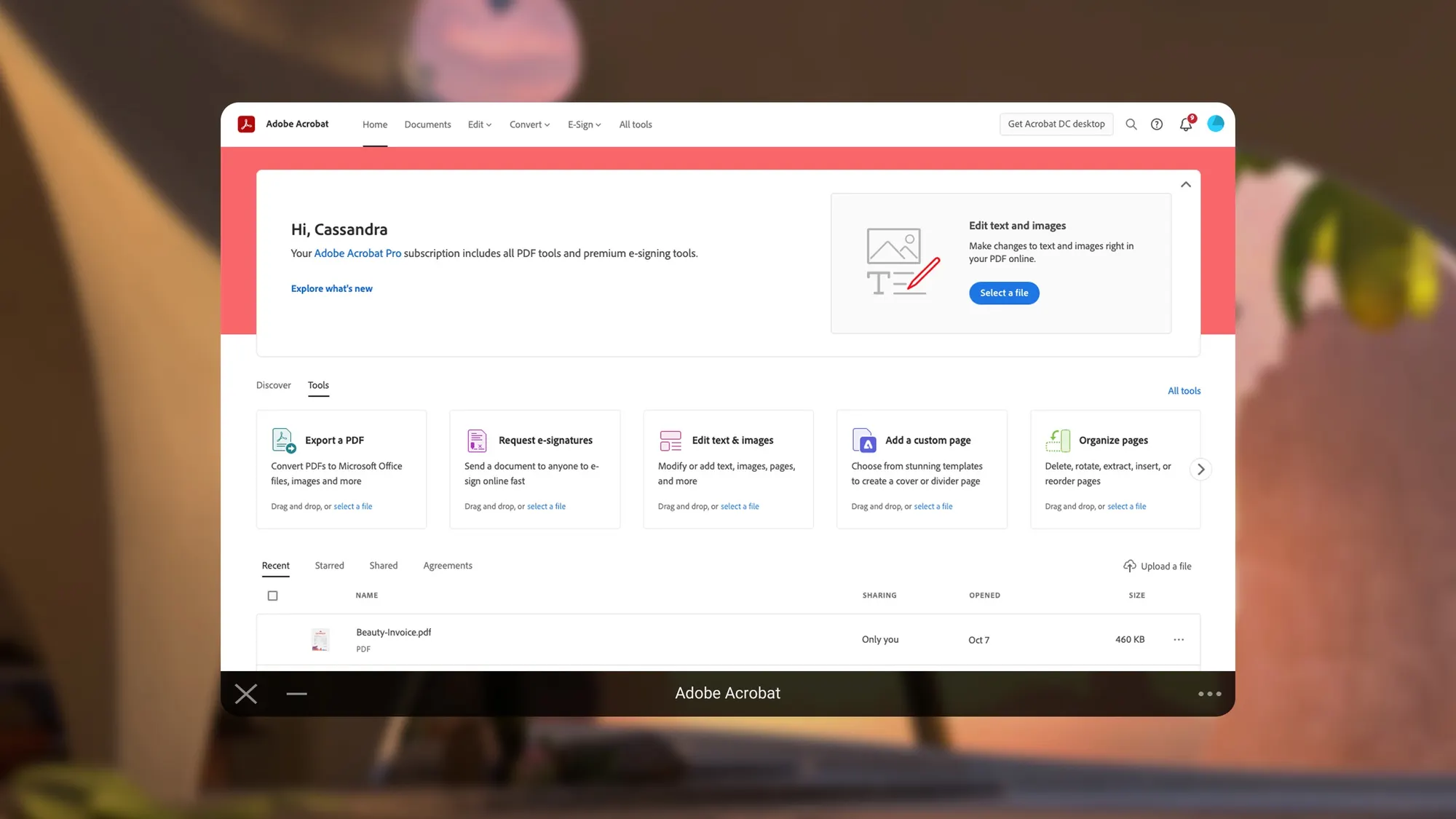 Acrobat enters the metaverse: Create documents and collaborate in VR ...