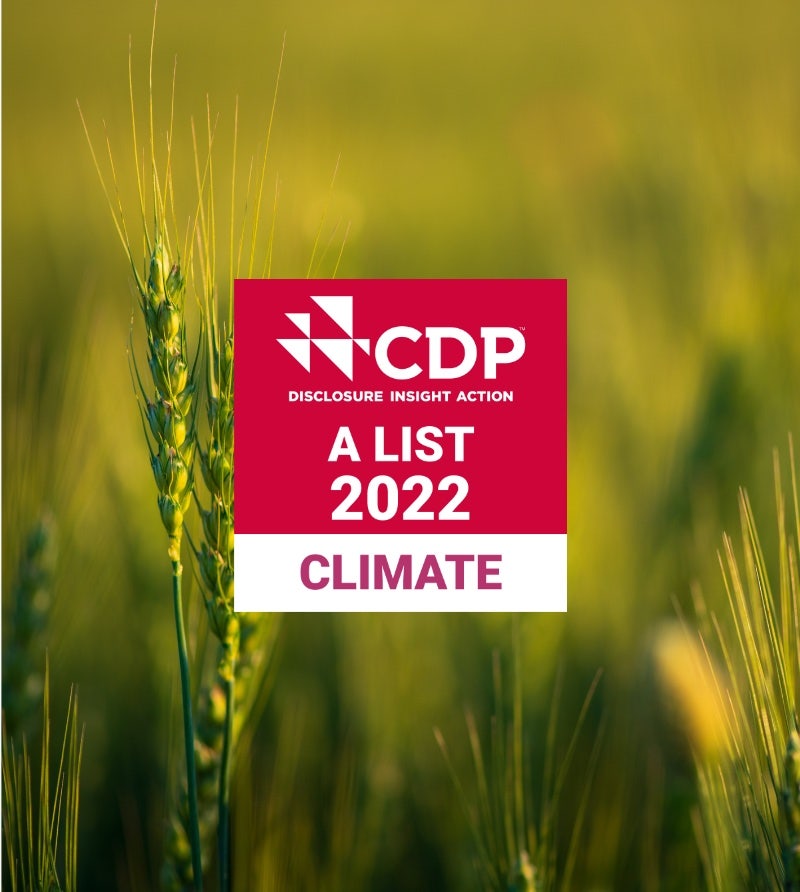 Adobe Tackling Climate Change and Named to CDP ‘A List’ | Adobe Blog